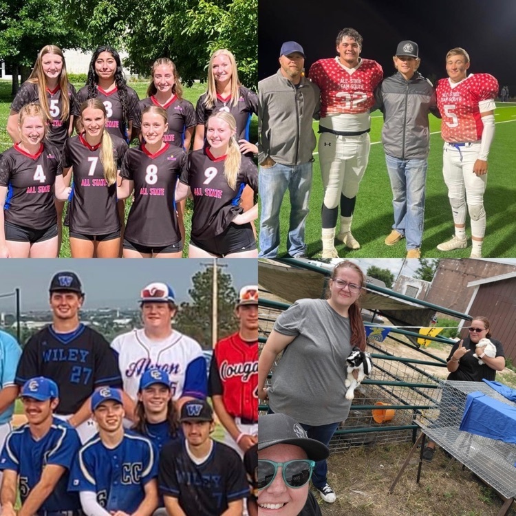 Live Feed | Wiley School District